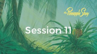 The Pineapple Story Series - Embassy Media